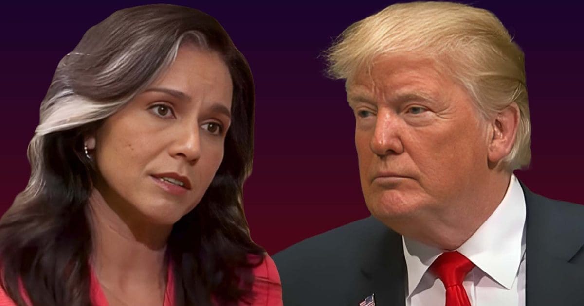 REPORT: President Trump to Fire DNI Tulsi Gabbard Next? | WLT Report
