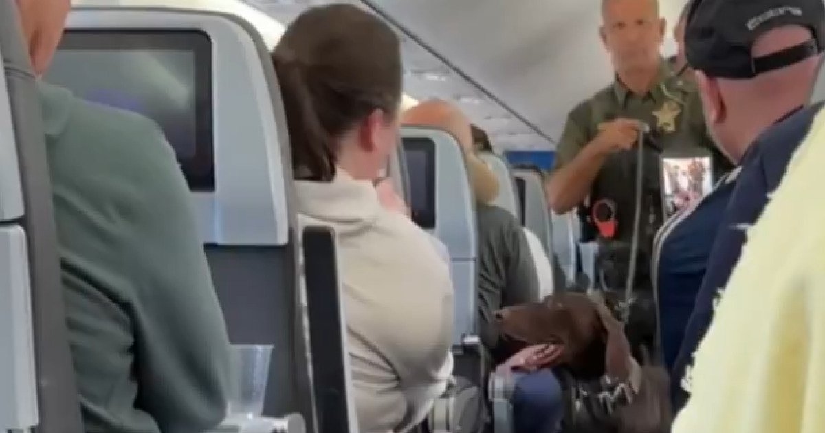 JUST IN: Bomb Threat Reported on JetBlue Flight from Boston to Florida ...