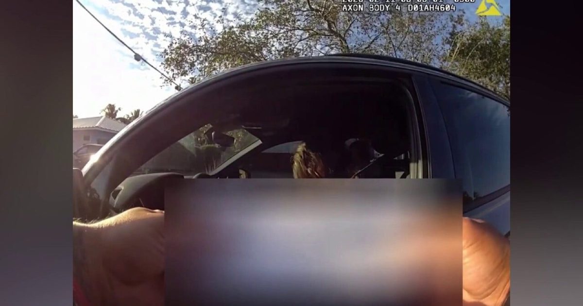 Florida Deputy Tickets Driver for Holding Phone in a Hand She Does Not ...