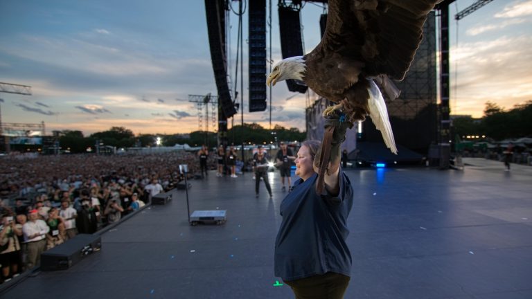 MUST-WATCH: Epic Moment Bald Eagle Kicks Off White House UFC Weigh-In ...