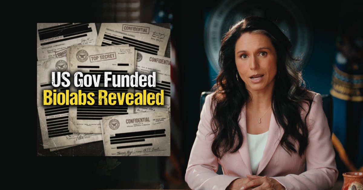 DNI Tulsi Gabbard Drops BOMBSHELL Intelligence on U.S.-Funded Biolabs ...
